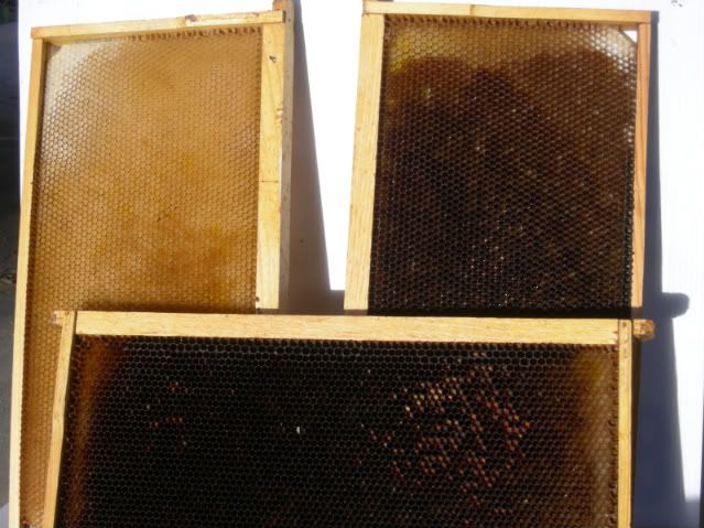 Dark comb | Beesource Beekeeping Forums