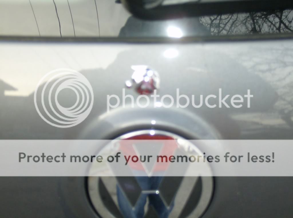 VW Fast Emblem | Volkswagen Owners Club Forum