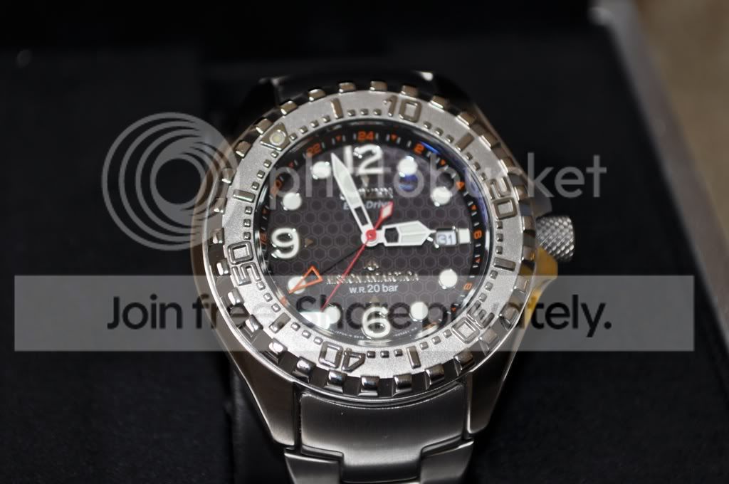 Back from the brink! My Mission Antarctica Survives!!! | WatchUSeek ...