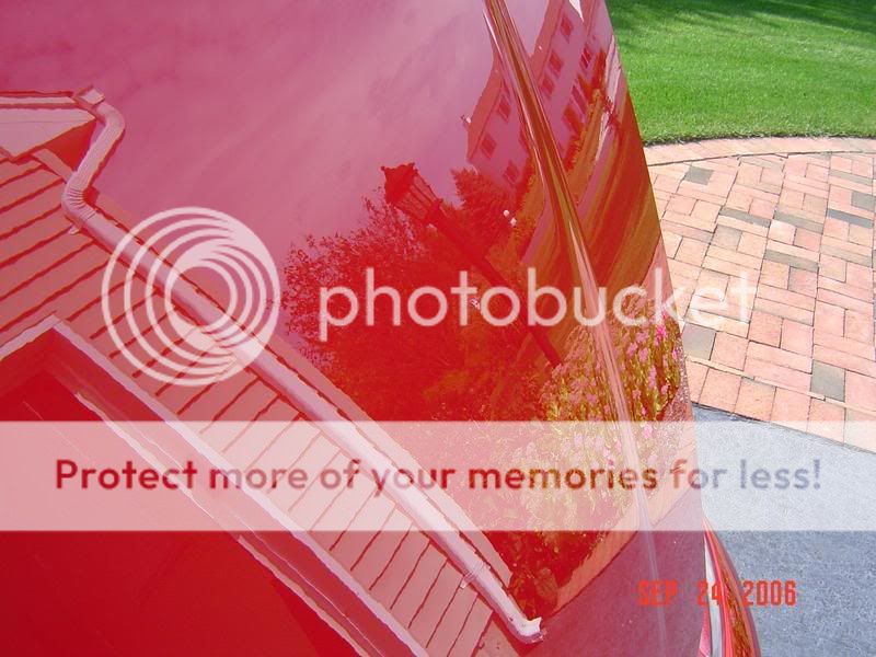 Zaino is some shiny sh&% - Page 3 - CorvetteForum - Chevrolet Corvette ...