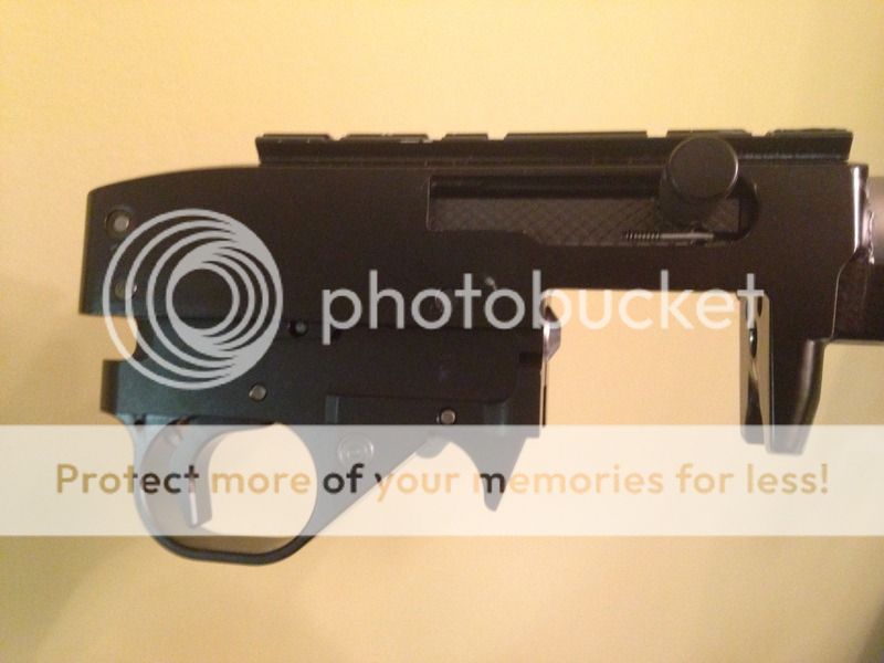 KIDD 10/22 build - AR15.COM