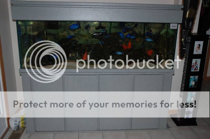 135 gallon Oceanic tank | Michigan Reefers