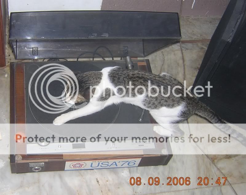 Sony PS-1800A at home... | Audiokarma Home Audio Stereo Discussion Forums