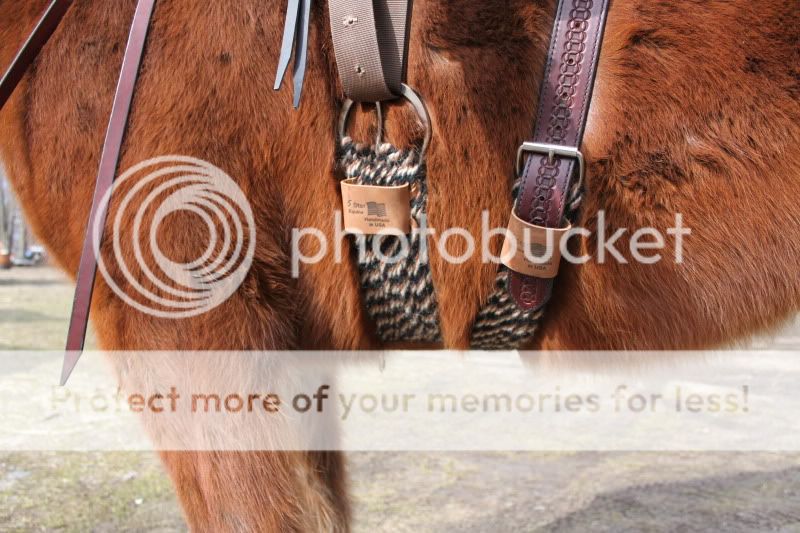 Cinch Rubbing Horse at Arthur Ritchie blog