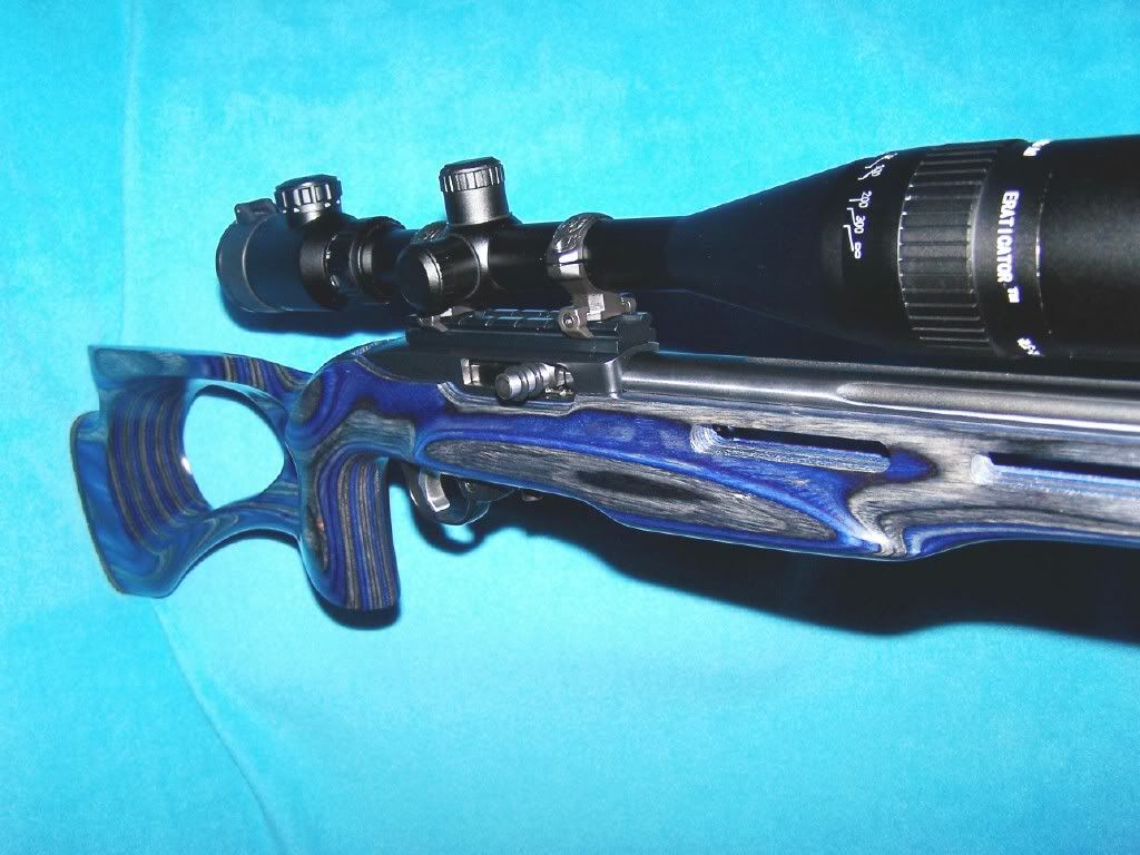 rings... what size for eraticator ??? | Rimfire Central Firearm Forum