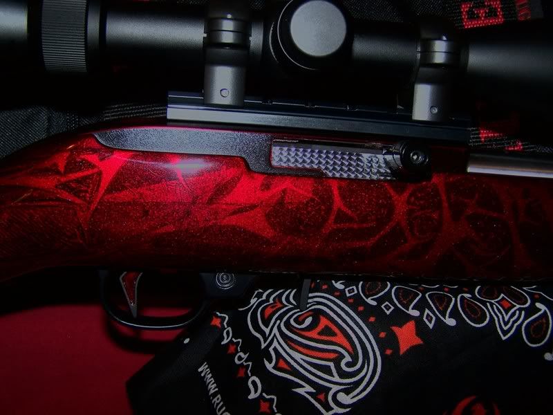 Experiment..paint over new Receiver... | Rimfire Central Firearm Forum